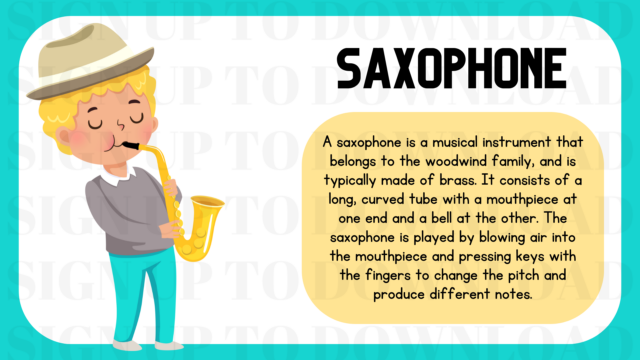 Musical Instruments 101: Powerpoint Presentation // The Musical Me